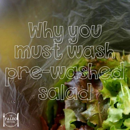 Why you must wash your pre-washed salad - The Paleo Network